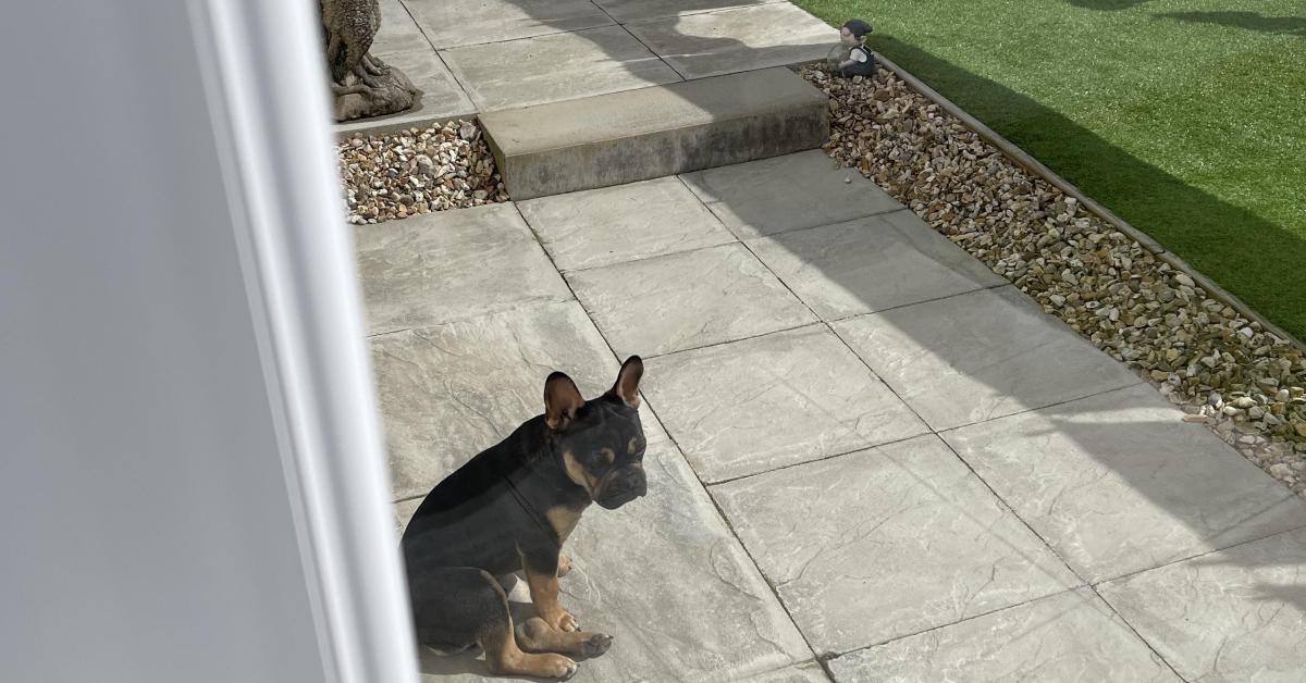 Variation Cinnamon Rolls (Cinnabon Clone) by dglover1501. A Thermomix ...