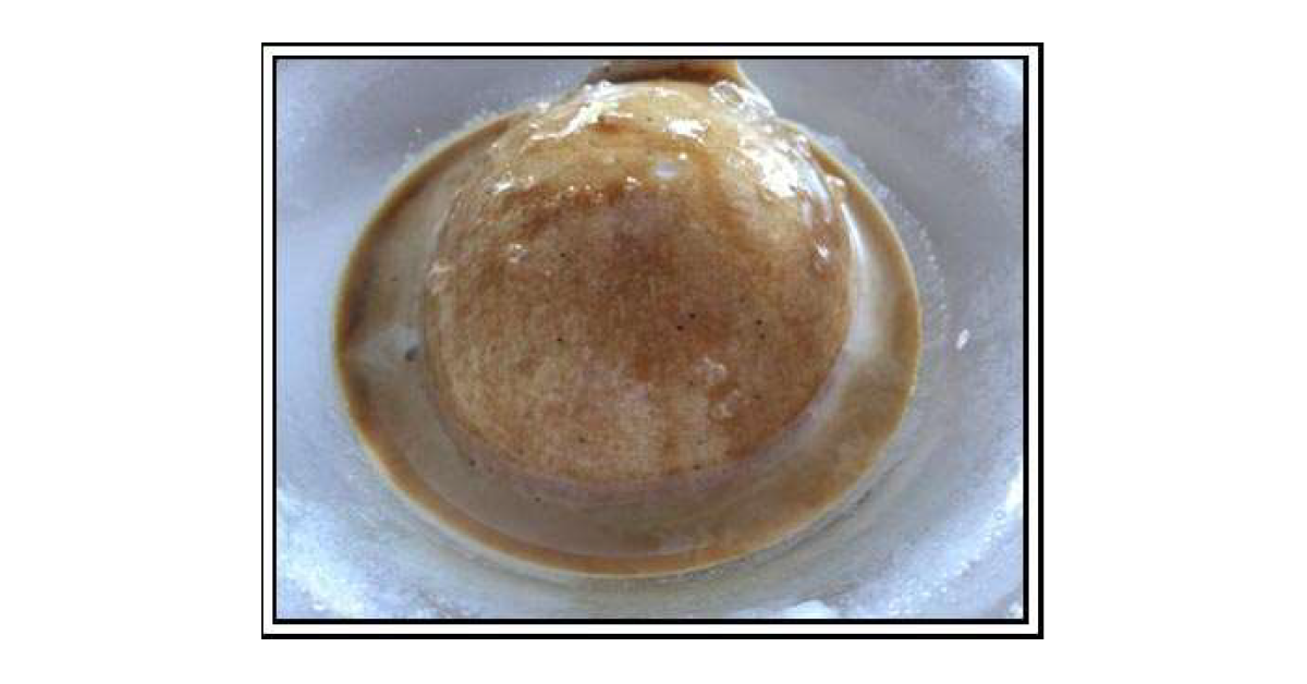 Affogato with Honey and Marsala Ice-Cream by HelmienE. A Thermomix ...