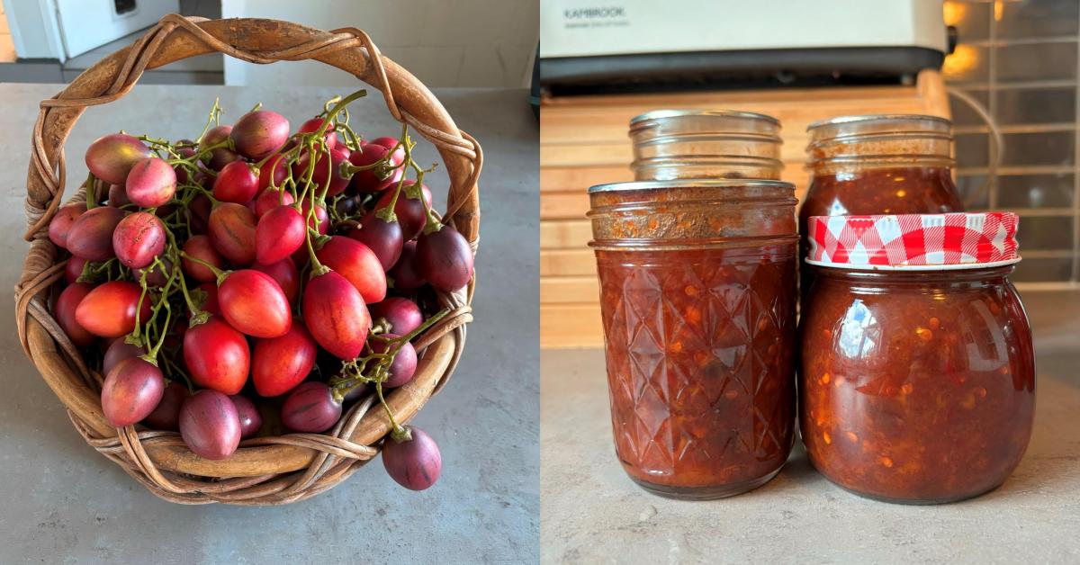 Tamarillo chutney by Wise Woman Ways. A Thermomix ® recipe in the ...
