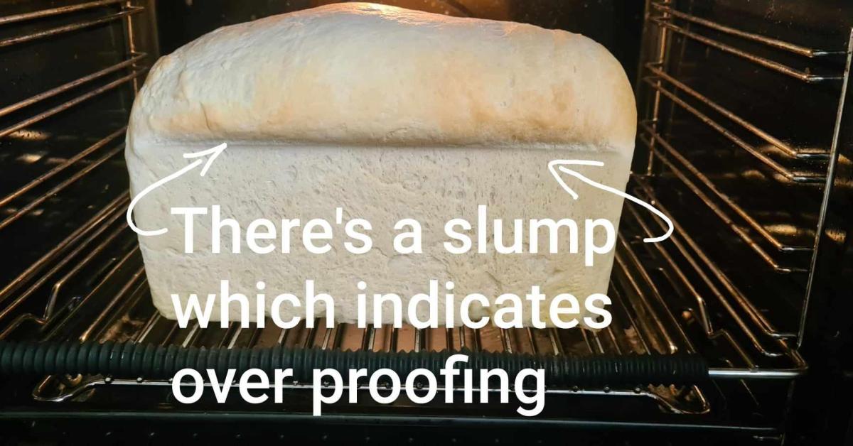 900g White Bread for South Aussie Climate by amanda orsum gargula. A ...