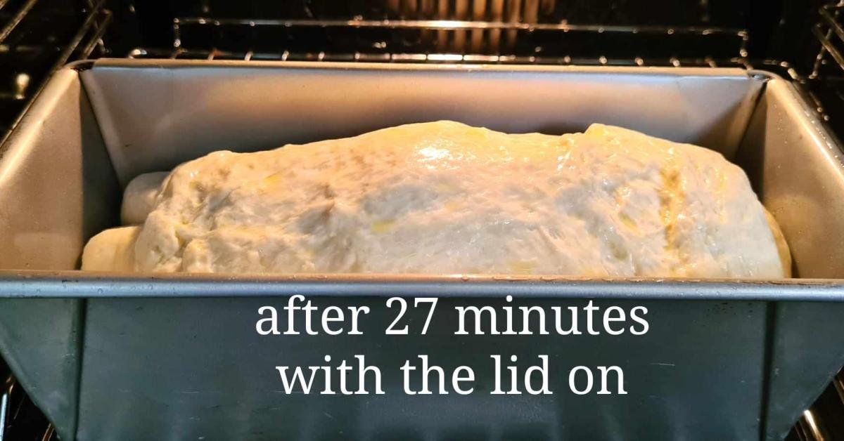 900g White Bread for South Aussie Climate by amanda orsum gargula. A ...