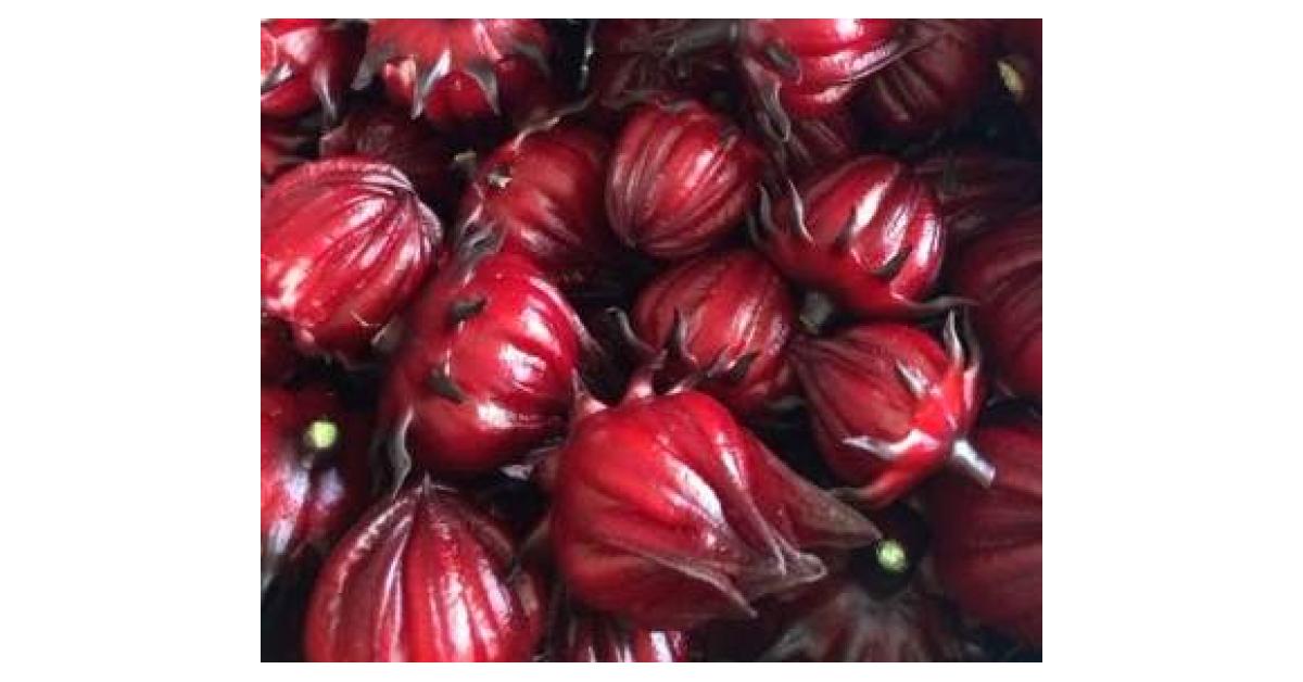 Rosella (Hibiscus) Cordial by guest. A Thermomix ® recipe in the ...