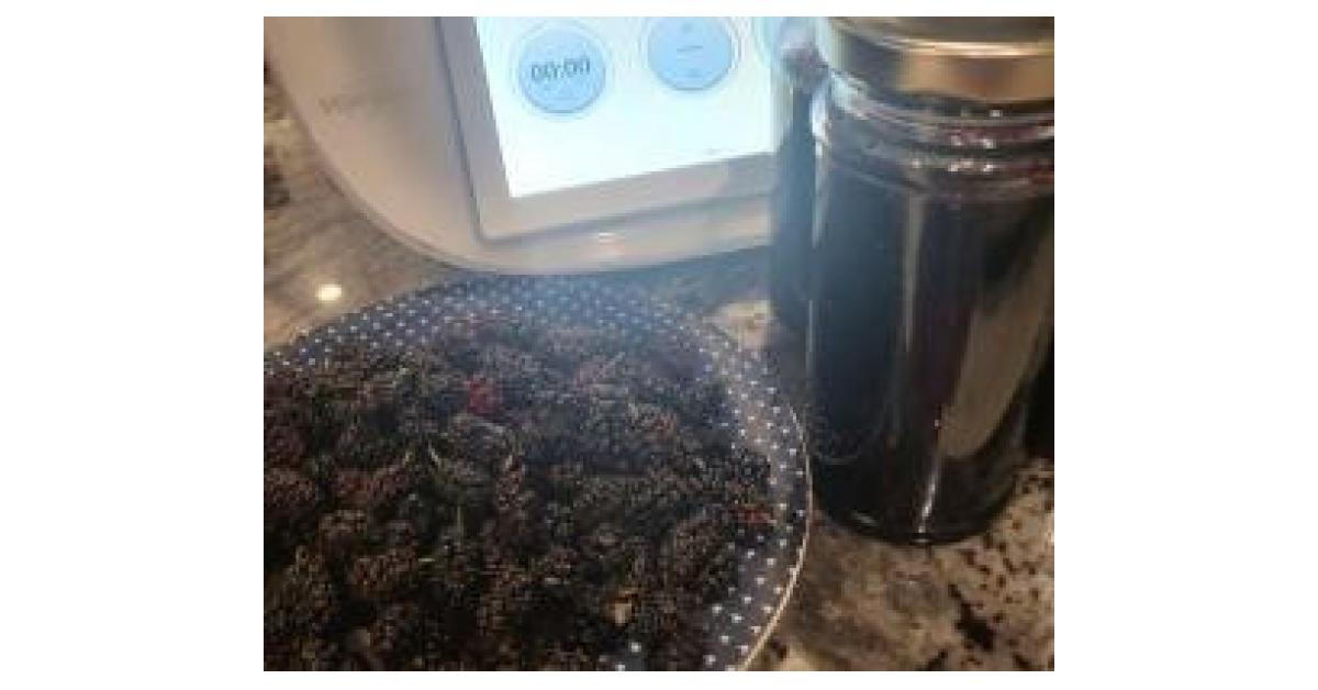 Mulberry Jam by Strickers. A Thermomix ® recipe in the category Sauces ...