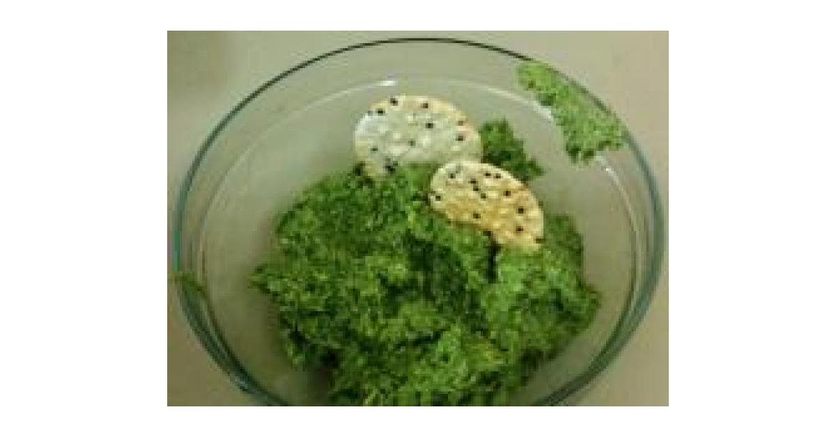 Coriander Chelation Pesto (raw food) by guest. A Thermomix ® recipe in ...